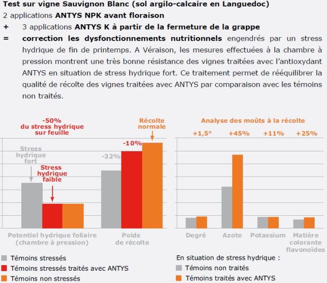 March : hydric stress on vines - Frayssinet
