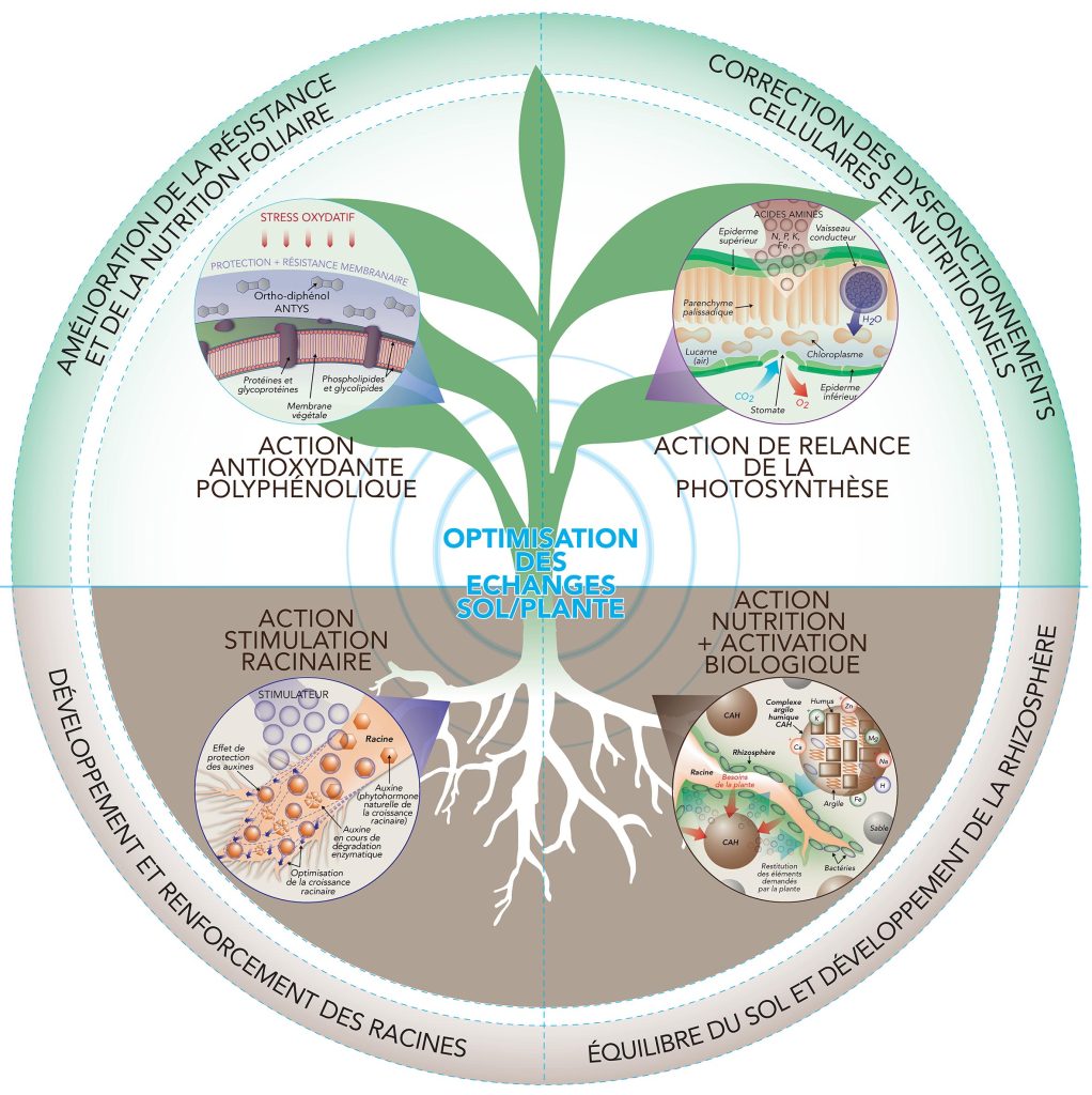 Agroécologie : fertilisation organique et biostimulation - Frayssinet