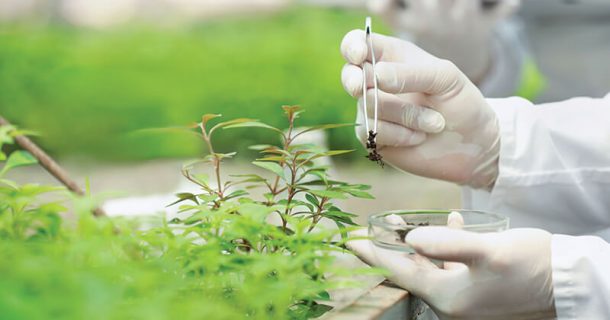 Comprendre la biostimulation - Frayssinet