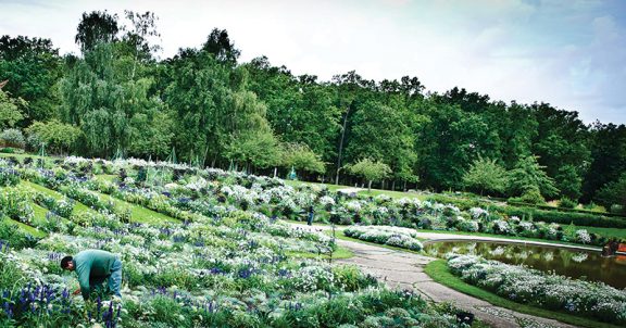Espaces verts : conserver l'équilibre sol/plante après plantation