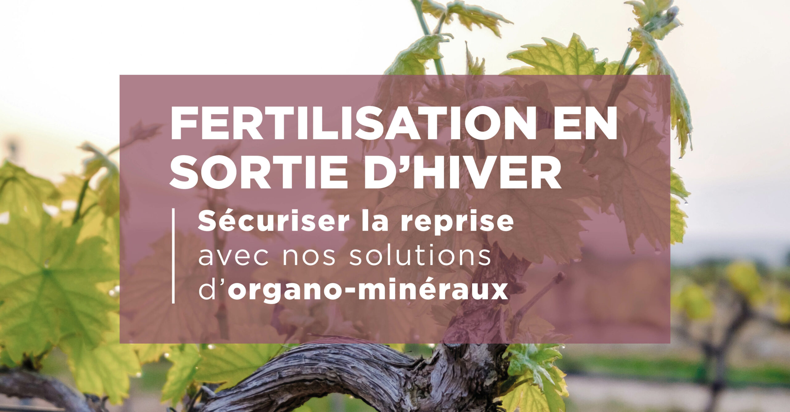 Fertilisation organo-minérale en sortie d'hiver - Frayssinet